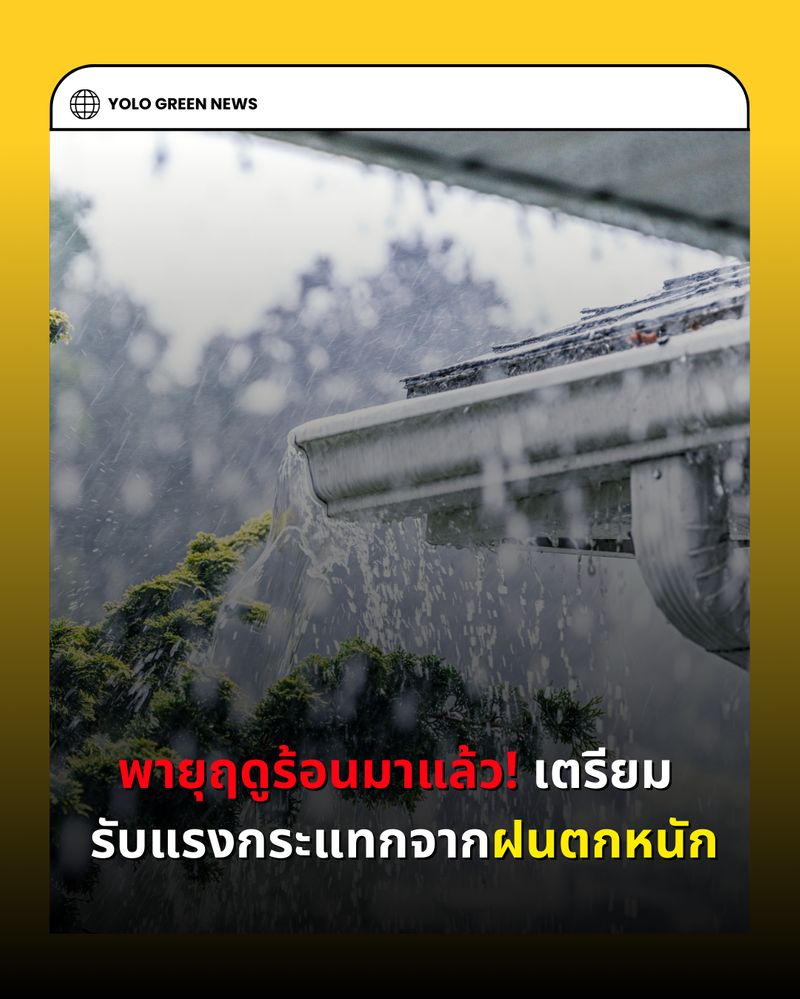 [Yolo Green News] พายุฤดูร้อนมาแล้ว! เตรียมรับแรงกระแทกจากฝนตกหนัก ...