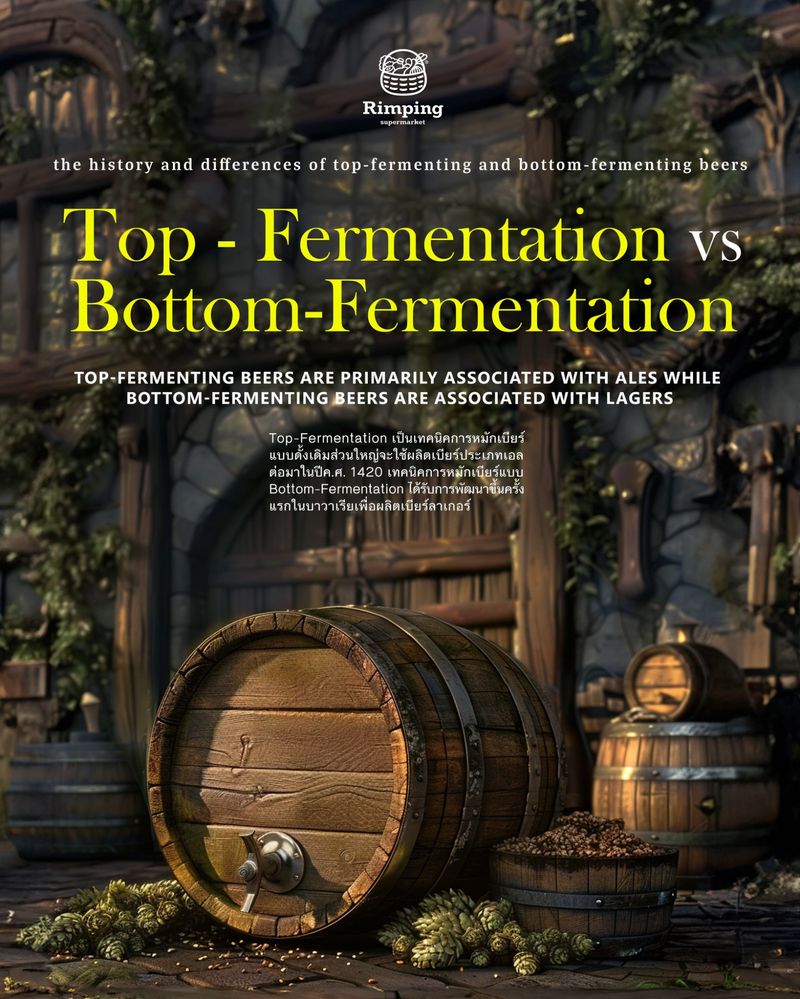 [Rimping Supermarket] ทำความรู้จัก Top-Fermentation และ Bottom-Fermentation เทคนิคการหมักเบียร์ ...
