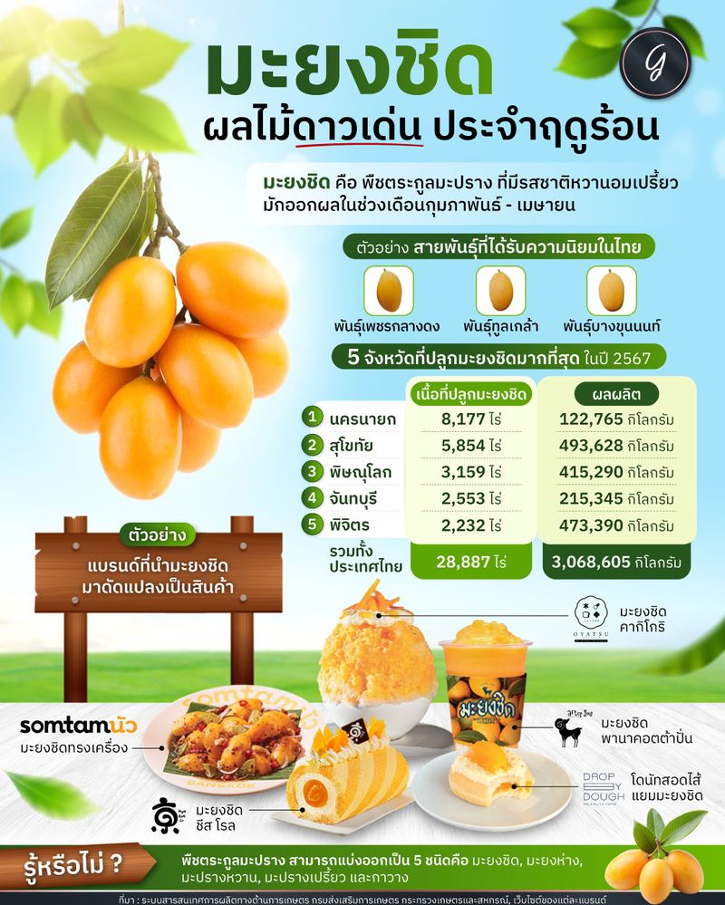 [ลงทุนเกิร์ล] มะยงชิด ผลไม้ดาวเด่น ประจำฤดูร้อน