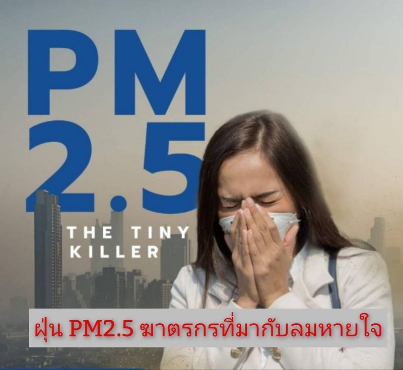 [ไพบูลย์ สถาปนาวิสุทธิ์] กลไกการล้างพิษของฝุ่น PM2.5 กลไกการล้างพิษของฝุ่น PM2.5 ที่สะสมใน ...