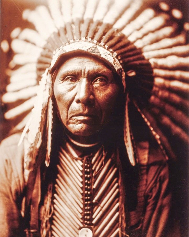 [Luck K. L-39 Albatros] สุนทรพจน์ของหัวหน้าเผ่าอินเดียนแดง Mr. Chief Seattle ที่กล่าวระหว่าง ...