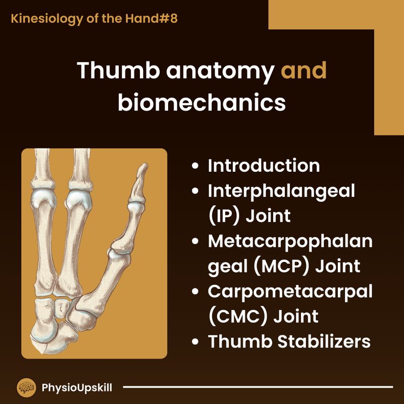 [Physioupskill] ## Episode114: Kinesiology of the Hand#8 Thumb anatomy ...