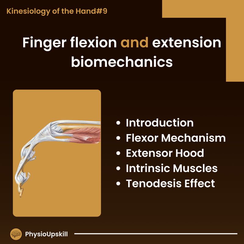 [Physioupskill] ## Episode115: Kinesiology of the Hand#9 Finger flexion ...