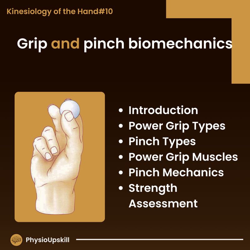 [Physioupskill] ## Episode116: Kinesiology of the Hand#10 Grip and ...