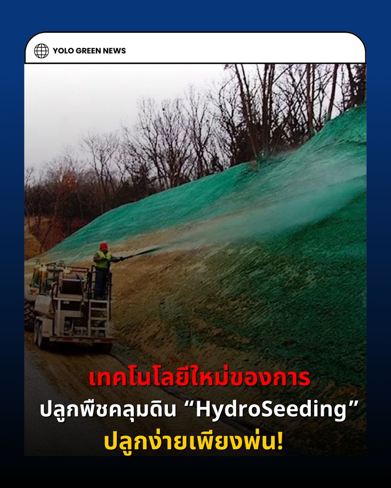[Yolo Green News] เทคโนโลยีใหม่ของการปลูกพืชคลุมดิน “HydroSeeding” ปลูกง่ายเพียงพ่น! การปลูกหญ้า ...