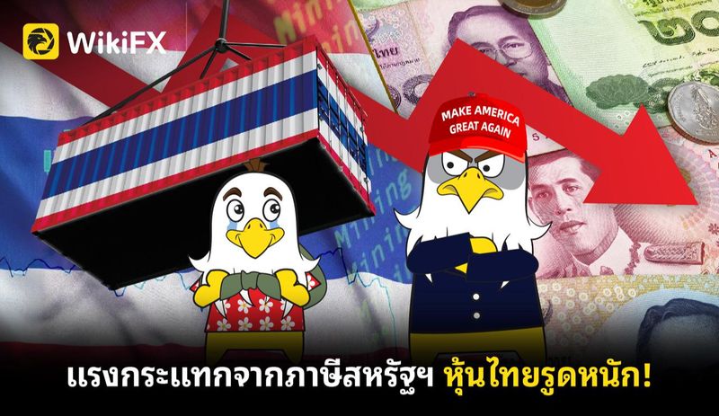 [WikiFX.TH] แรงกระแทกจากภาษีสหรัฐฯ หุ้นไทยรูดหนัก! https://www.wikifx.com/th/newsdetail ...
