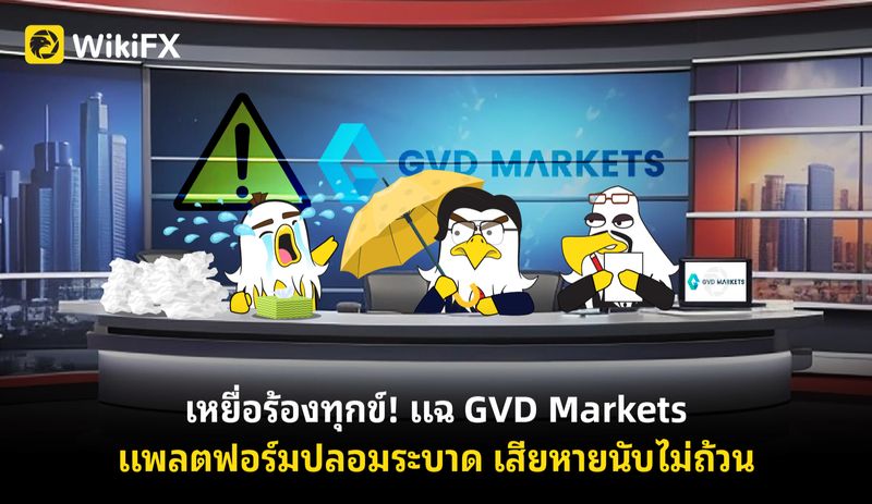 [WikiFX.TH] เหยื่อร้องทุกข์! แฉ GVD Markets แพชตฟอร์มปลอมระบาด เสียหายนับไม่ถ้วน https://www ...
