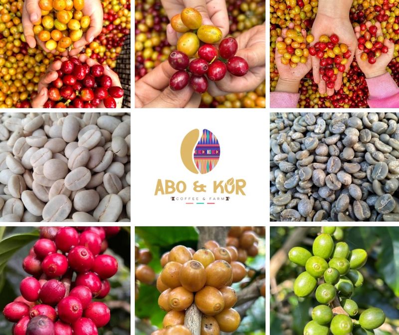 [Abo-Kor coffee&farm ] 🫶🏻ABO-KOR COFFEE &FARM🫶🏻