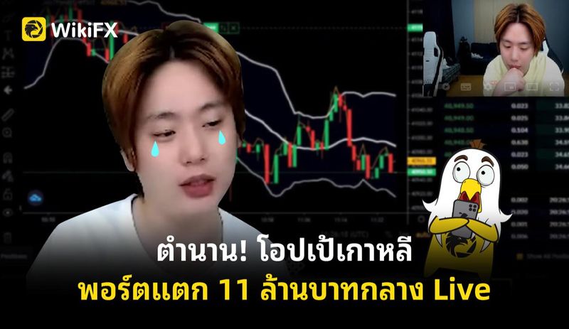 [WikiFX.TH] ตำนาน! โอปเป้เกาหลี พอร์ตแตก 11 ล้านบาทกลาง Live https://www.wikifx.com/th ...