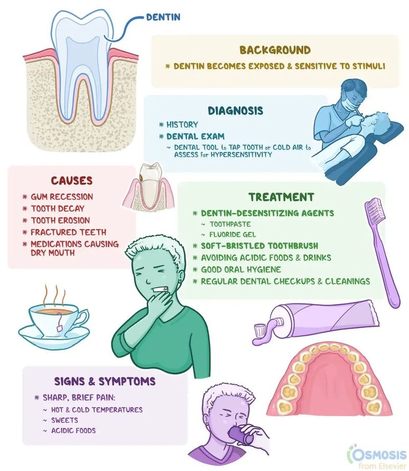 [BETTERCM] 😶‍🌫️อาการเสียวฟัน: สาเหตุและวิธีแก้ไข ♉อาการเสียวฟัน (Dentin ...