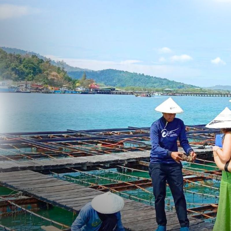 [Phuket Pearl] 𝐍𝐚𝐭𝐮𝐫𝐞'𝐬 𝐀𝐫𝐭𝐢𝐬𝐭𝐫𝐲, 𝐇𝐮𝐦𝐚𝐧 𝐃𝐞𝐝𝐢𝐜𝐚𝐭𝐢𝐨𝐧 🌊 𝐀𝐦𝐨𝐫𝐧 𝐏𝐡𝐮𝐤𝐞𝐭 𝐏𝐞𝐚𝐫𝐥 - 𝙿𝚑𝚞𝚔𝚎𝚝 𝙷𝚎𝚛𝚒𝚝𝚊𝚐𝚎 𝚝𝚘 𝚝𝚑𝚎 ...