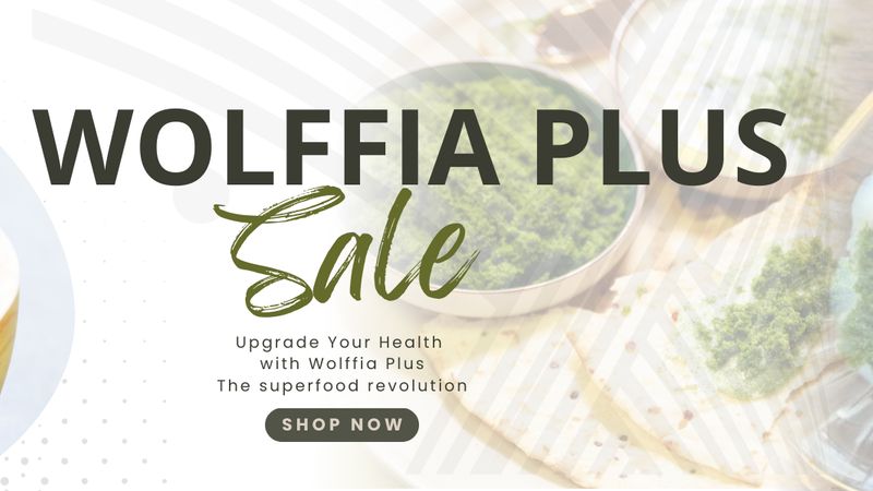 [wolffia plus] ผำคืออะไร? ผำ (Wolffia) เป็นพืชน้ำที่พบได้ในแหล่งน้ำสะอาด เช่น หนองน้ำ คลอง บึง ...