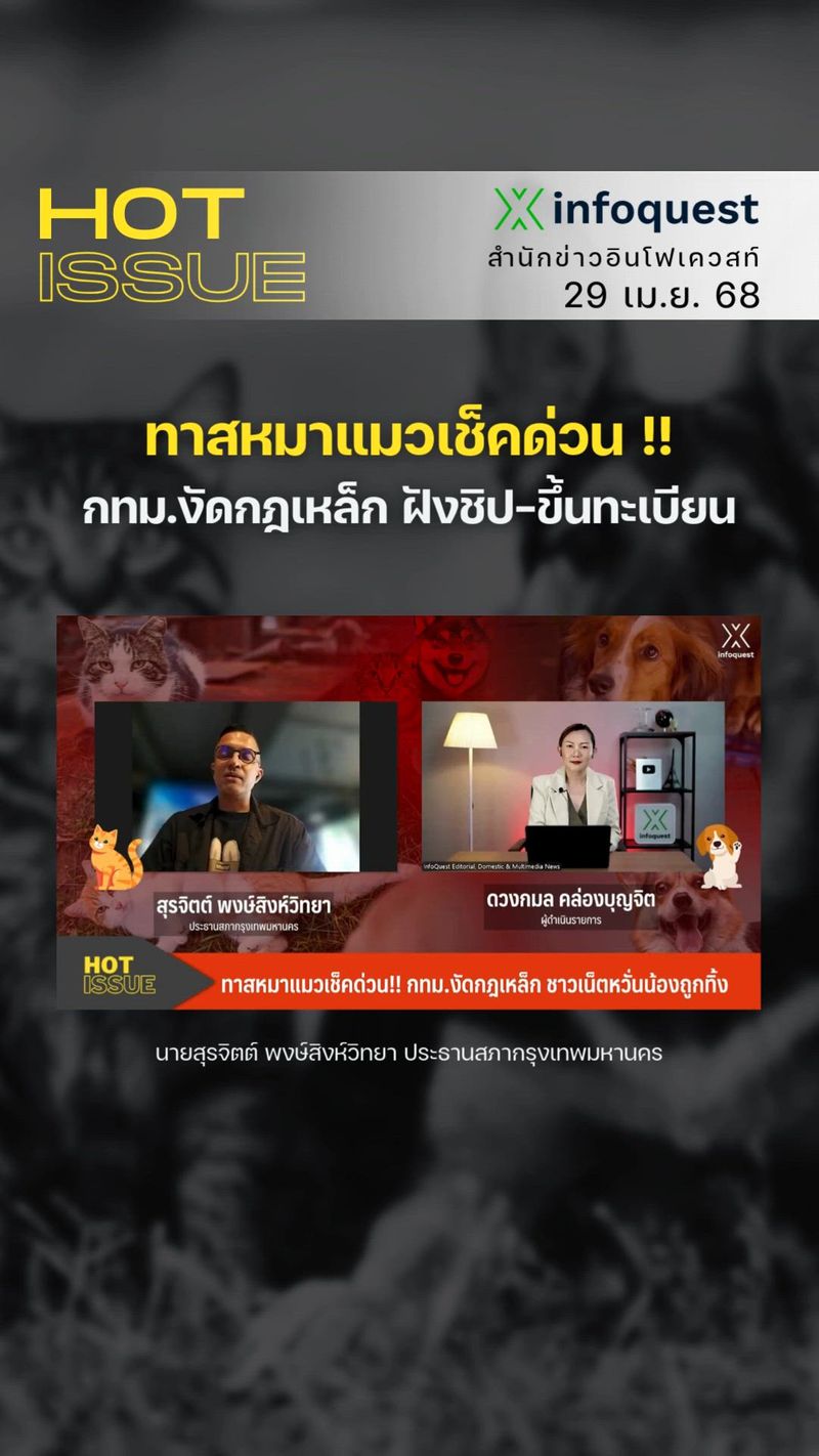 [InfoQuestNews - สำนักข่าวอินโฟเควสท์] ทาสหมาแมวเช็คด่วน!! กทม.งัดกฎเหล็ก ฝังชิป-ขึ้นทะเบียน