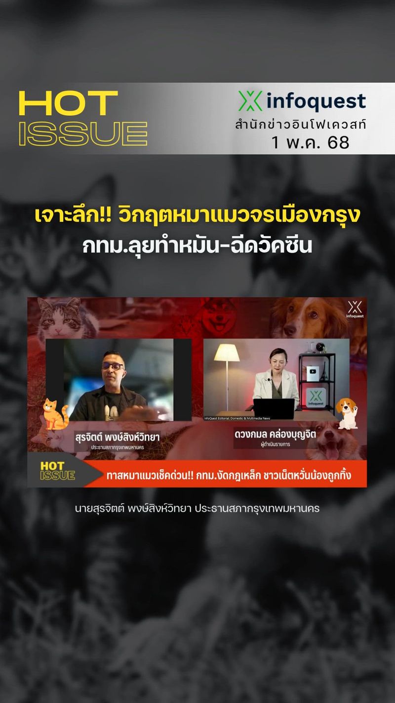 [InfoQuestNews - สำนักข่าวอินโฟเควสท์] เจาะลึก!! วิกฤตหมาแมวจรเมืองกรุง กทม.ลุยทำหมัน-ฉีดวัคซีน