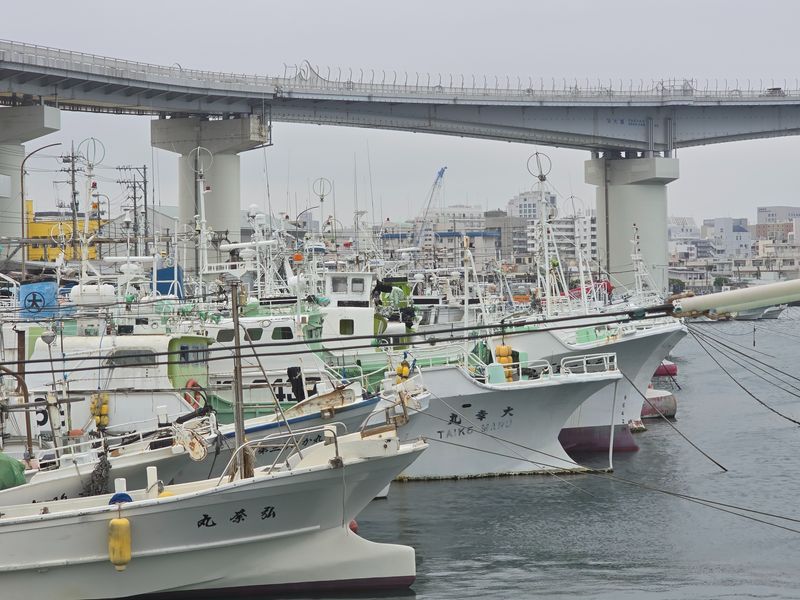 [อิสระ หน้าฝน] Road trip Okinawa สไตล์หอยทาก ep2 ไม่พูดพร่ำทำเพลง มาต่อ ...