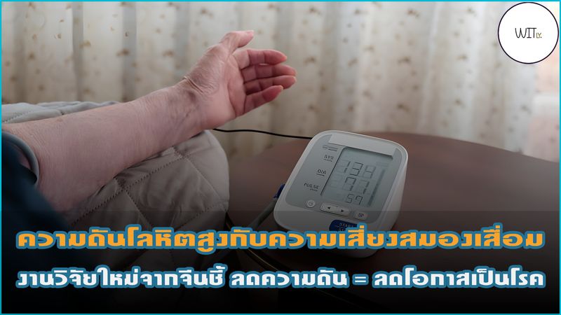 [Witly. - เปิดโลกวิทย์แบบเบา ๆ] 🧠 ความดันโลหิตสูงกับความเสี่ยงสมอง ...