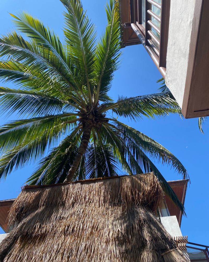 [windasharing] 🌊🌴story set 41🌴🌊 ชีวิตแต่ละวันก็อยู่กับธรรมชาติบ้าง ไม่ธรรมชาติบ้าง จะว่าไปก็ดีนะ ...