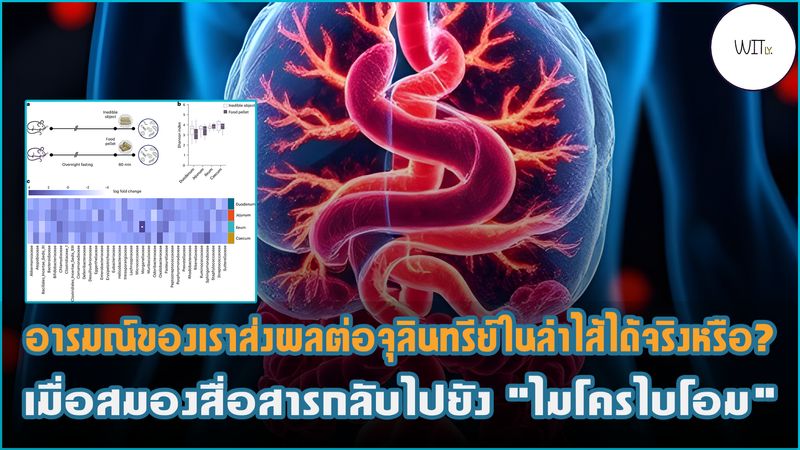 [Witly. - เปิดโลกวิทย์แบบเบา ๆ] 🌐🧠 อารมณ์ของเราส่งผลต่อจุลินทรีย์ใน ...