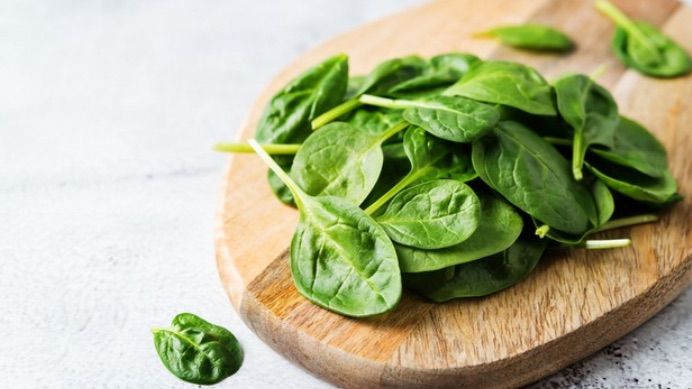 [mae-ying:organic] ปวยเล้ง (Spinach) หรือผักโขมฝรั่ง (ชื่อวิทยาศาสตร์ ...