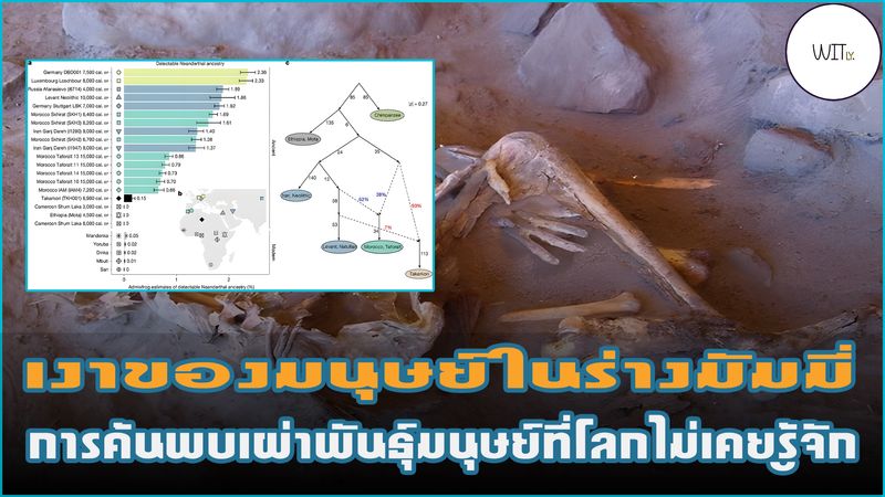 [Witly. - เปิดโลกวิทย์แบบเบา ๆ] 📘 เงาของมนุษย์ในร่างมัมมี่ การค้นพบ ...
