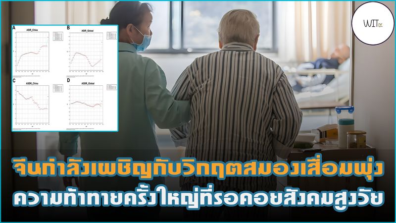 [Witly. - เปิดโลกวิทย์แบบเบา ๆ] 🧠 จีนกำลังเผชิญกับวิกฤตสมองเสื่อมพุ่ง ...