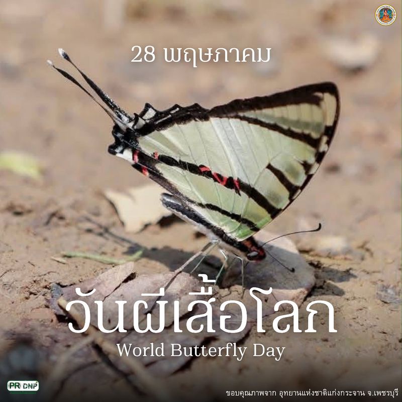 [กรมอุทยานแห่งชาติ สัตว์ป่า และพันธุ์พืช] 28 พฤษภาคม “วันผีเสื้อโลก ...