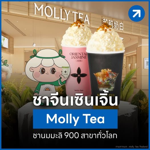 [ThaiFranchiseCenter] ชาจีนเซินเจิ้น Molly Tea ชานมมะลิ 900 สาขาทั่วโลก ...