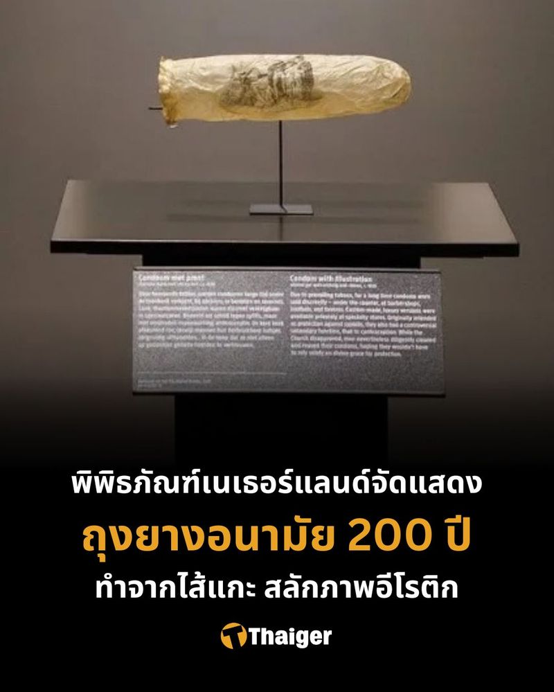 [The Thaiger] เปิดภาพ ถุงยางอนามัยอายุ 200 ปี สลักภาพอีโรติกสุดสยิว รู้ขนาดมีอึ้ง ฮือฮา ถุงยาง ...