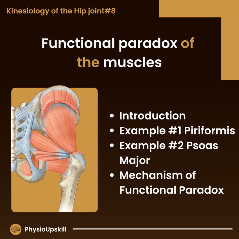 [Physioupskill] ## Episode125: Kinesiology of the Hip Joint#8 ...