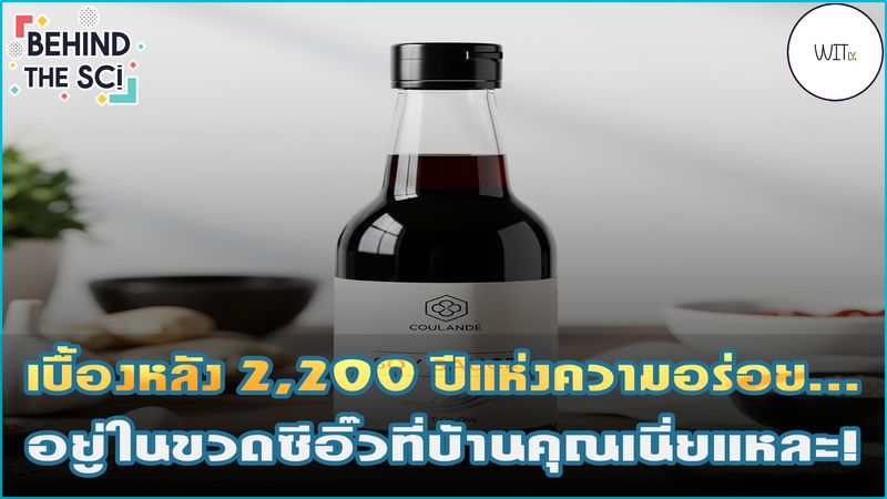 [Witly. - เปิดโลกวิทย์แบบเบา ๆ] เบื้องหลัง 2,200 ปีแห่งความอร่อย ...