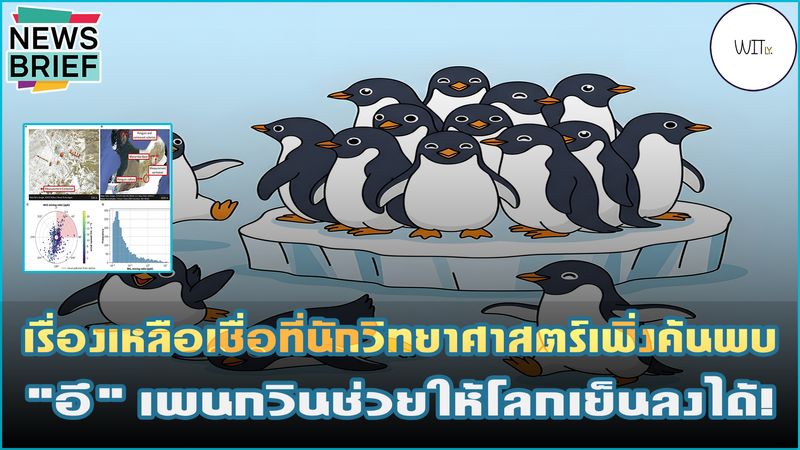 [Witly. - เปิดโลกวิทย์แบบเบา ๆ] 🐧 เรื่องเหลือเชื่อที่นักวิทยาศาสตร์ ...