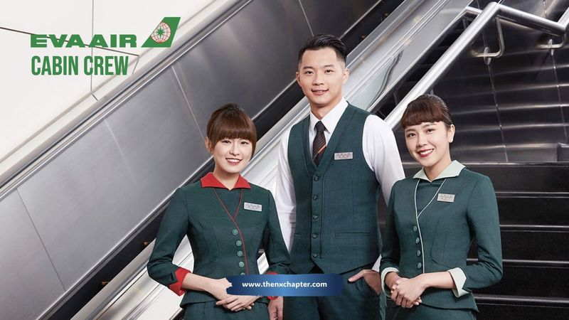 [The NX Chapter รวมงานการบิน ลอจิสติกส์ พลังงาน] EVA AIR รับสมัคร Cabin Crew สัญชาติไทย ขอ TOEIC ...