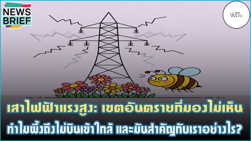 [Witly. - เปิดโลกวิทย์แบบเบา ๆ] 🐝 เสาไฟฟ้าแรงสูง: เขตอันตรายที่มองไม่ ...