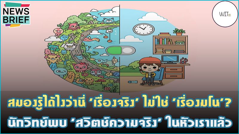 [Witly. - เปิดโลกวิทย์แบบเบา ๆ] 🧠 สมองรู้ได้ไงว่านี่ 'เรื่องจริง ...