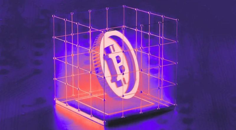 [Animalverse SocialFi] Bitcoin transactions hit 18-month low as Runes ...