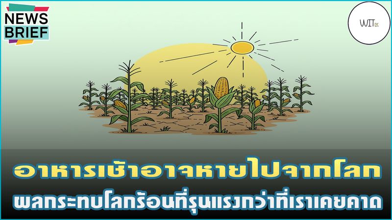 [Witly. - เปิดโลกวิทย์แบบเบา ๆ] 🍳 อาหารเช้าอาจหายไปจากโลก | ผลกระทบโลก ...