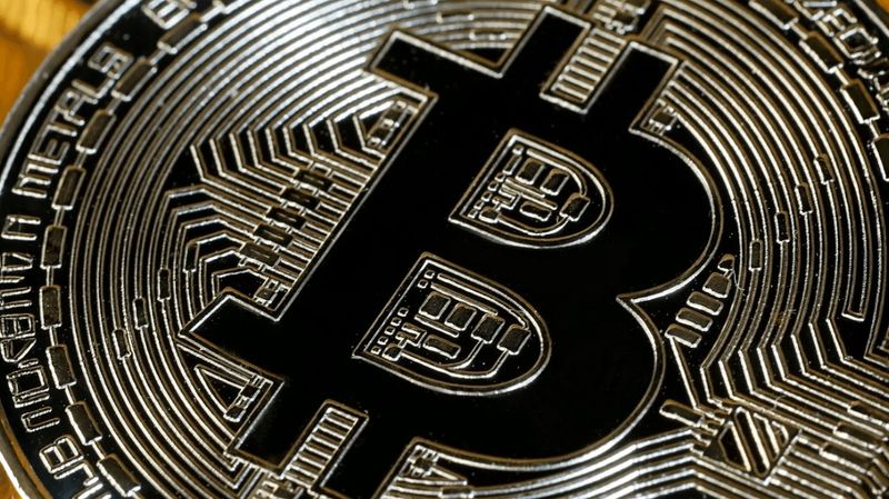 [Animalverse SocialFi] Number of Bitcoin Wallets Holding Over $1 ...