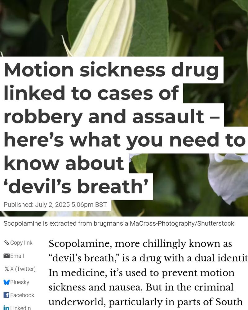[BETTERCM] ⁉️ทำไมสโคโปลามีน (Scopolamine) ถึงกลายเป็น Devil’s Breath 🔴สโคโปลามีน (Scopolamine ...