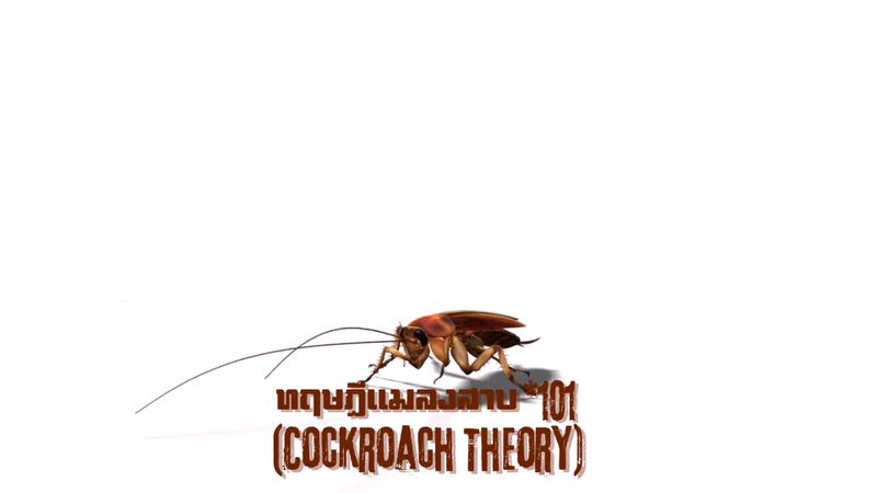 [|โลกของคนคิดสั้น|] ทฤษฎีแมลงสาบ (Cockroach Theory) เมื่อแมลงสาบบินวนอยู่ในห้อง เสียงกรีดร้องดัง ...