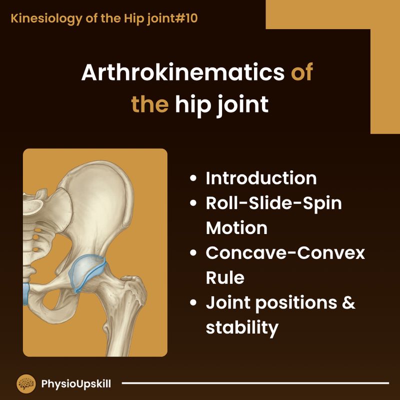 [Physioupskill] ## Episode127: Kinesiology of the Hip joint #10 ...