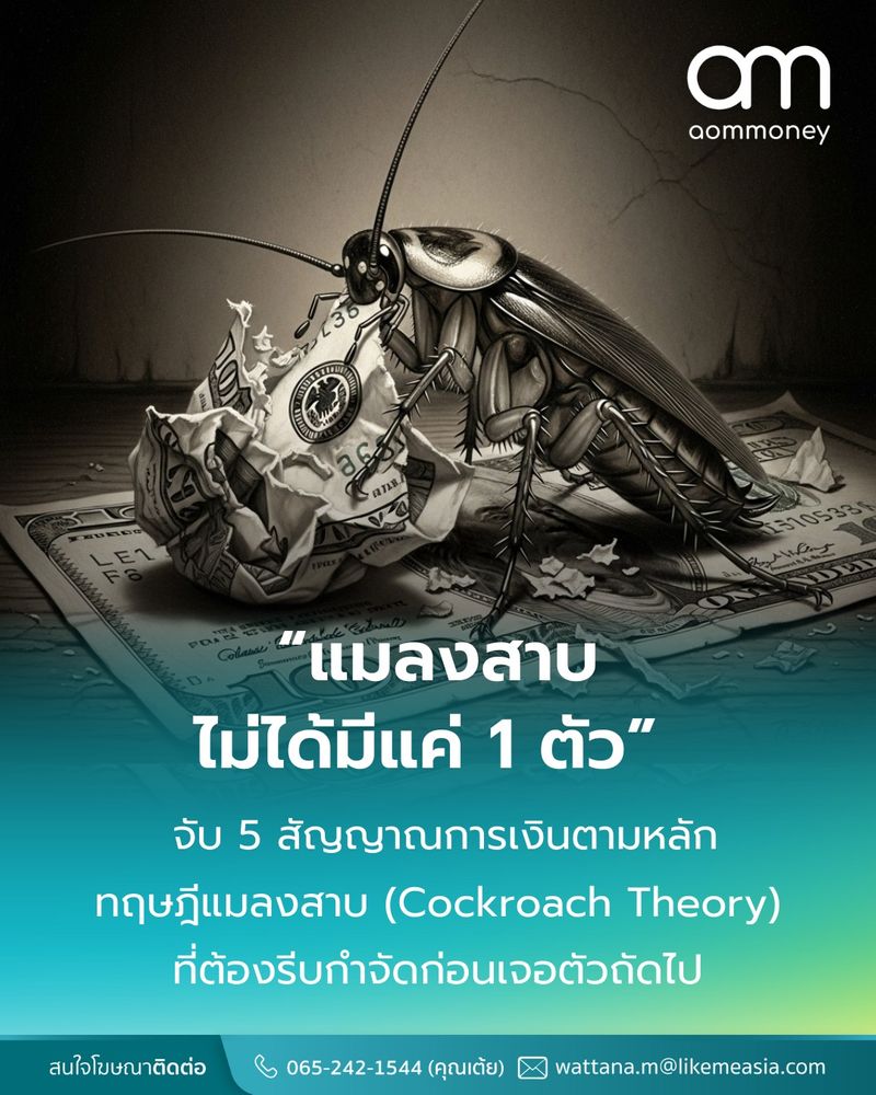 [aomMONEY] “แมลงสาบไม่ได้มีแค่ 1 ตัว” จับ 5 สัญญาณการเงินตามหลักทฤษฎีแมลงสาบ (Cockroach Theory ...