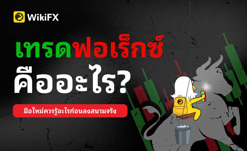 [WikiFX.TH] เทรดฟอเร็กซ์ คืออะไร? มือใหม่ควรรู้อะไรก่อนลงสนามจริง https://www.wikifx.com/th ...
