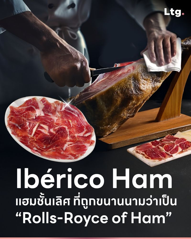 [ลงทุนเกิร์ล] Ibérico Ham แฮมชั้นเลิศ ที่ถูกขนานนามว่าเป็น “Rolls-Royce ...