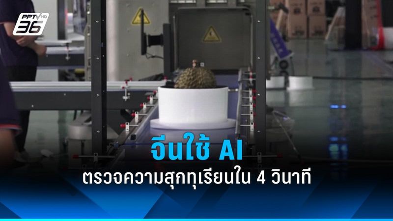 [PPTVHD36] จีนใช้ AI ตรวจความสุกทุเรียน รู้ได้ง่าย ๆ ภายใน 4 วินาที การตรวจสอบความสุกของทุเรียน ...