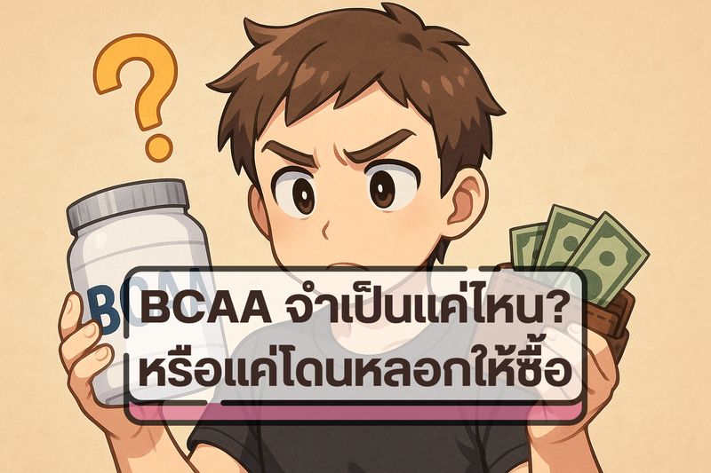 [ใบเลี้ยงเดี่ยว Healthy] BCAA จำเป็นแค่ไหน? หรือแค่ของแพงที่โดนหลอกให้ ...