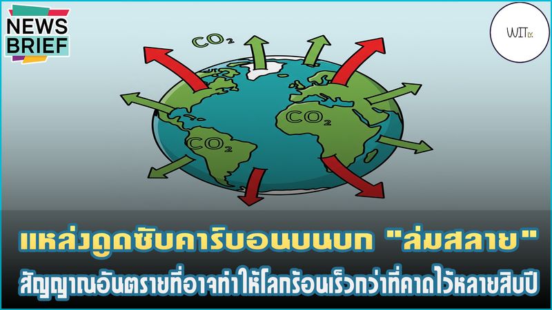 [Witly. - เปิดโลกวิทย์แบบเบา ๆ] 🌍 แหล่งดูดซับคาร์บอนบนบก "ล่มสลาย ...