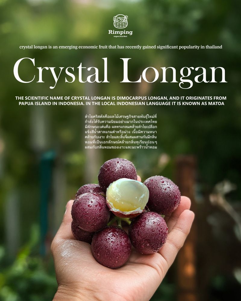 [Rimping Supermarket] ทำความรู้จัก “ลำไยคริสตัล” (Crystal Longan) ผลไม้ ...