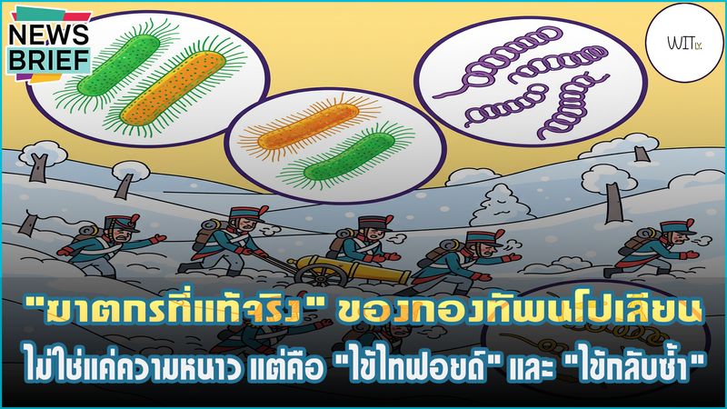 [Witly. - เปิดโลกวิทย์แบบเบา ๆ] 🦠 "ฆาตกรที่แท้จริง" ของกองทัพนโปเลียน | ไม่ใช่แค่ความหนาว แต่คือ ...