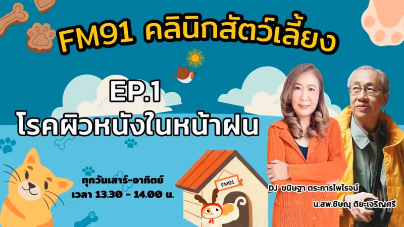 [FM91 Trafficpro] โรคผิวหนังในหน้าฝน EP.1 : FM91 คลินิกสัตว์เลี้ยง สัมภาษณ์ นายสัตวแพทย์ชิษณุ ติ ...