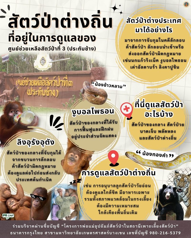 [มิดซีลี่เลอ]